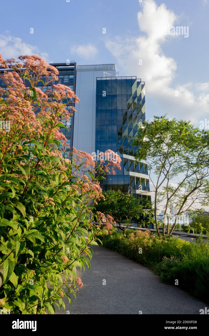 Glass building and walkway on the High Line in Chelsea, New York City ...
