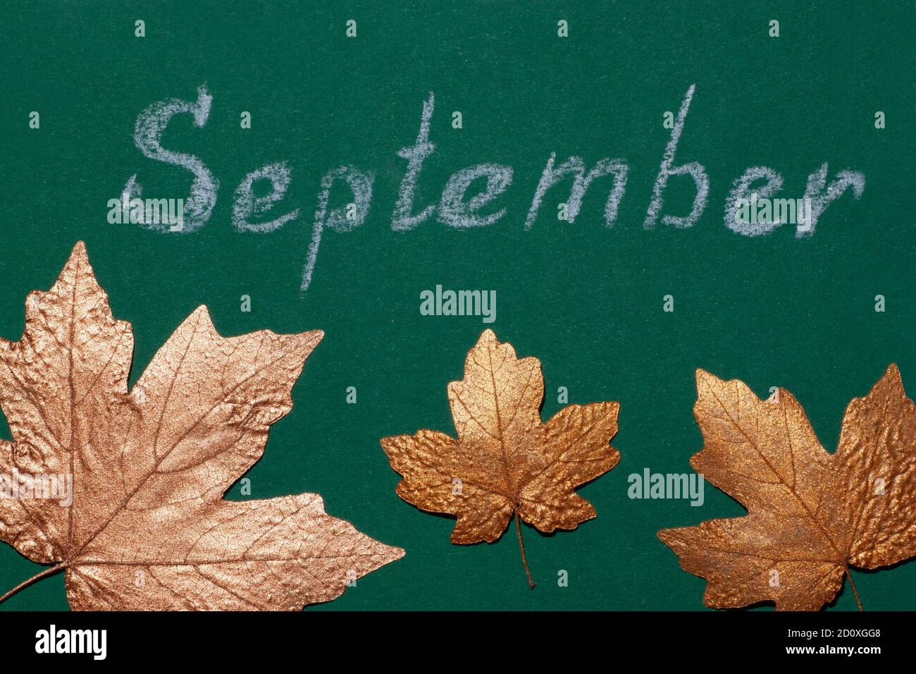 The inscription "September" on a green background with golden maple ...