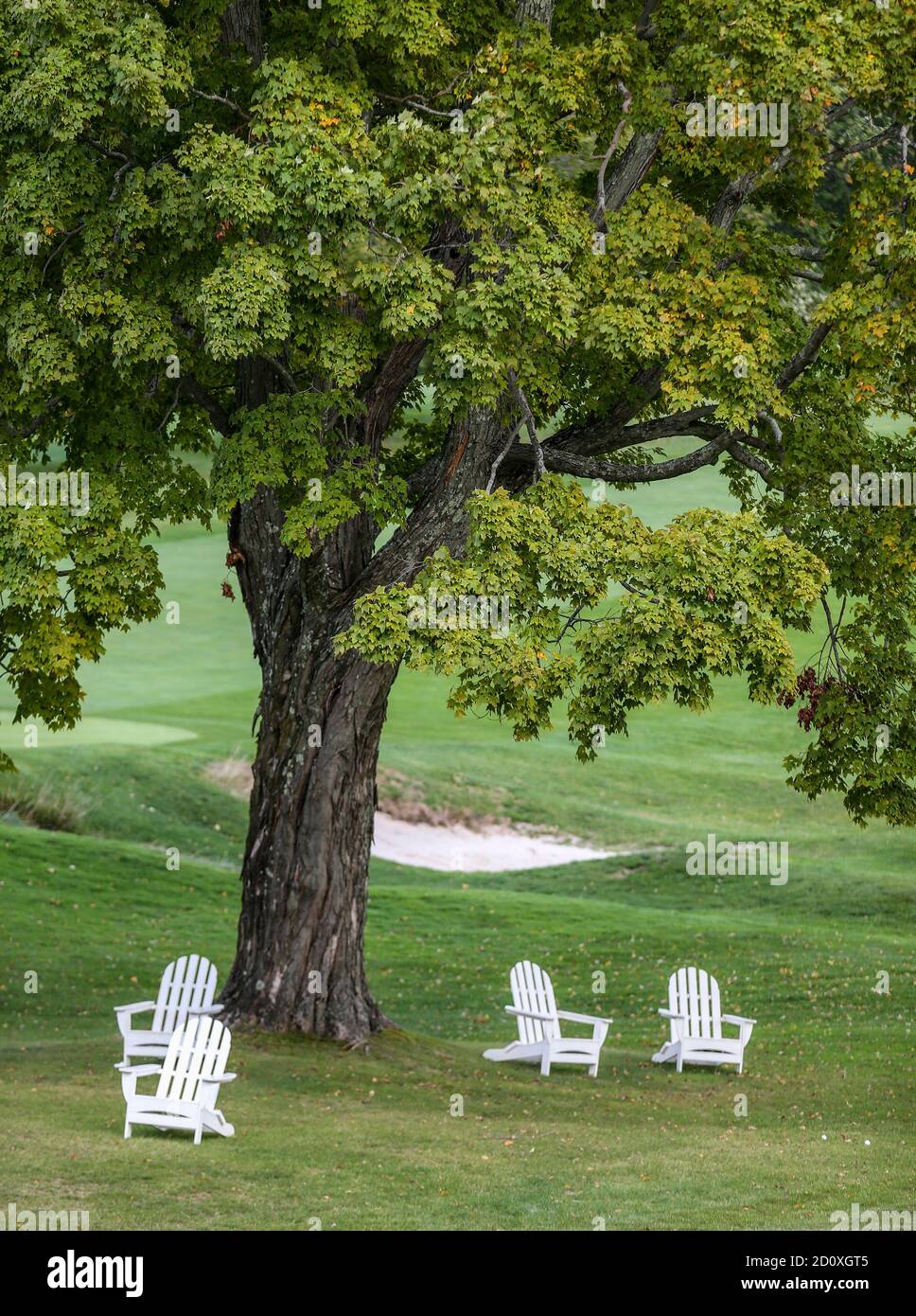 Chairs under a tree hi-res stock photography and images - Alamy