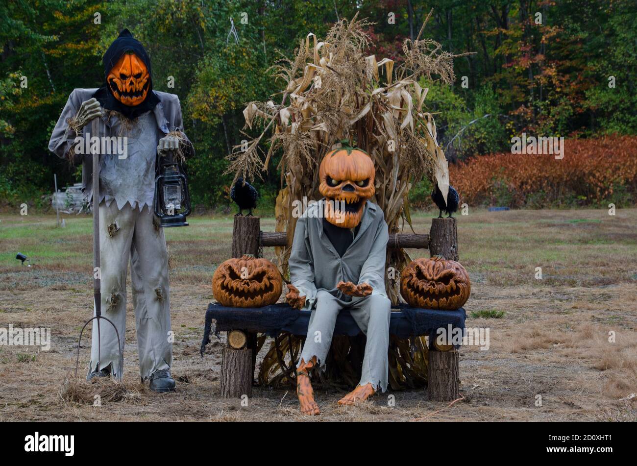 Scary corn field hi-res stock photography and images - Alamy