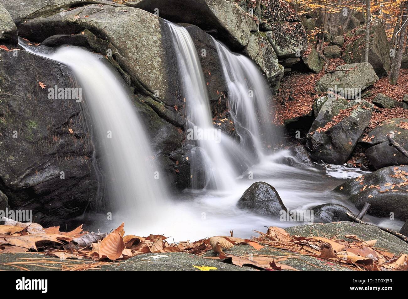 Fallen autumn leaves and scenic Trap Falls (waterfall), Willard Brook ...