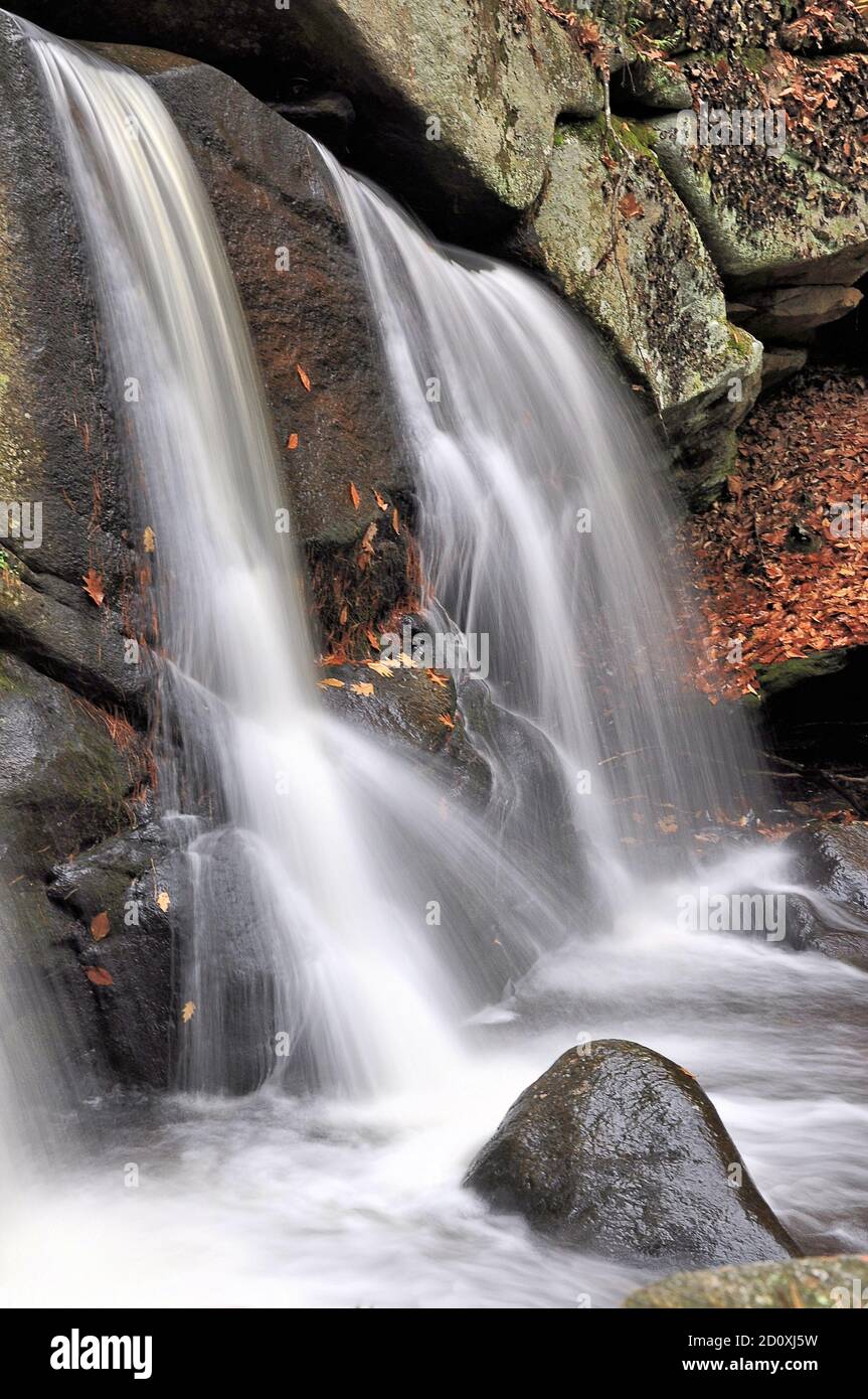 Wet trap hi-res stock photography and images - Alamy