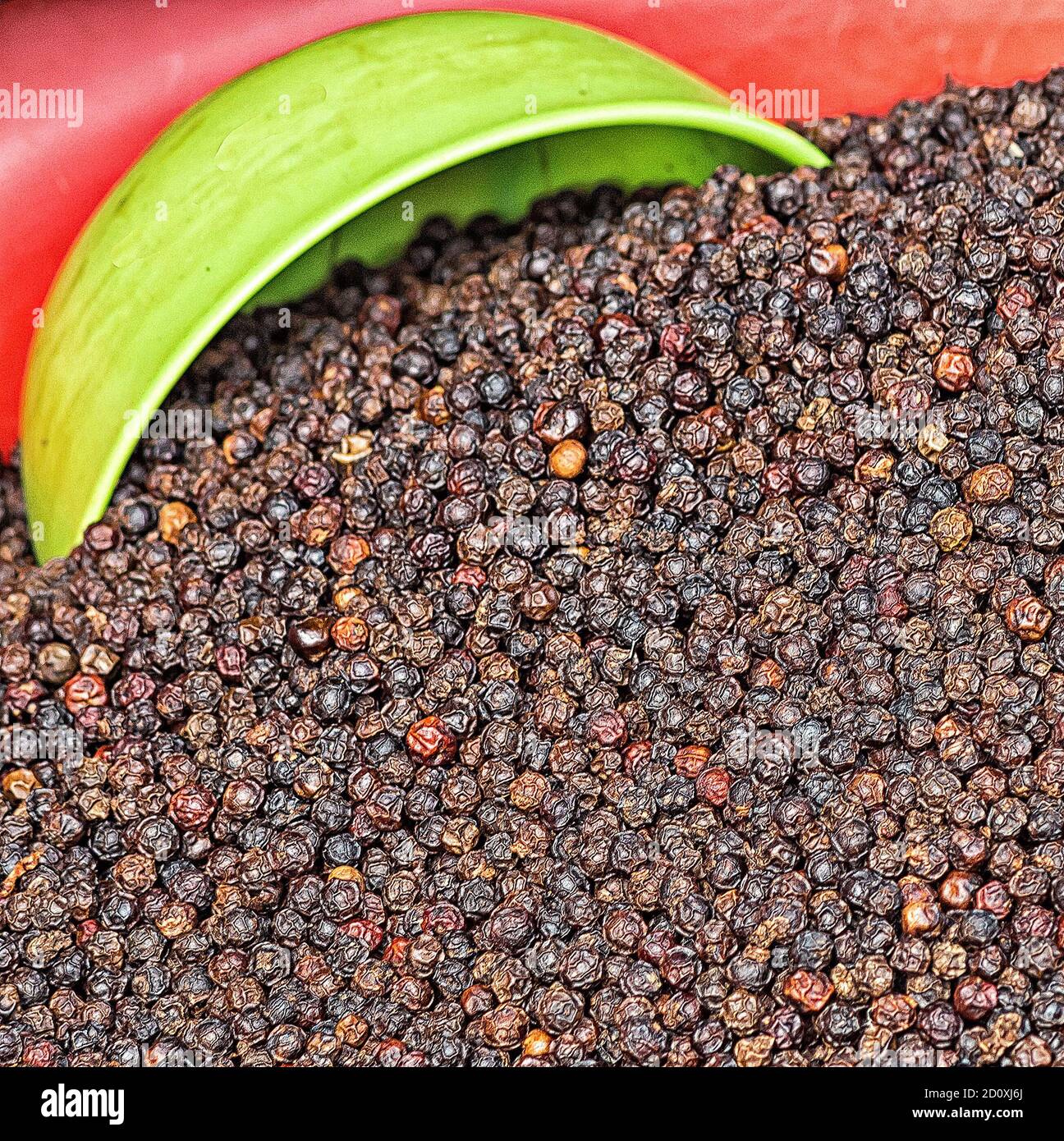 dried black pepper in a red plate Stock Photo - Alamy