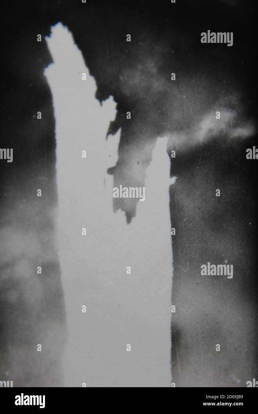 Fine 1970s vintage black and white photography of a huge tree stump in ...