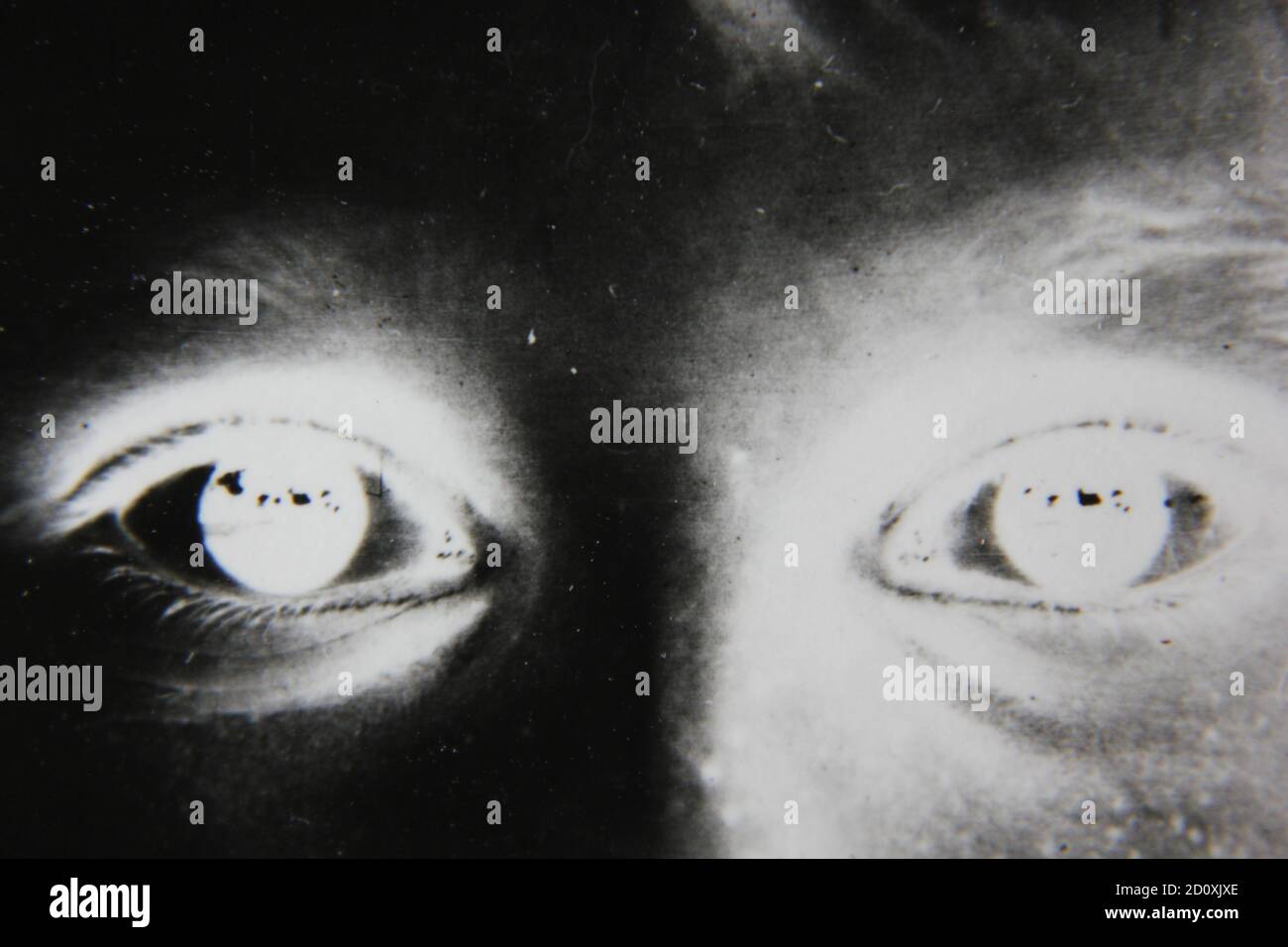 Fine 1970s vintage black and white photography of glowing haunting eyes ...