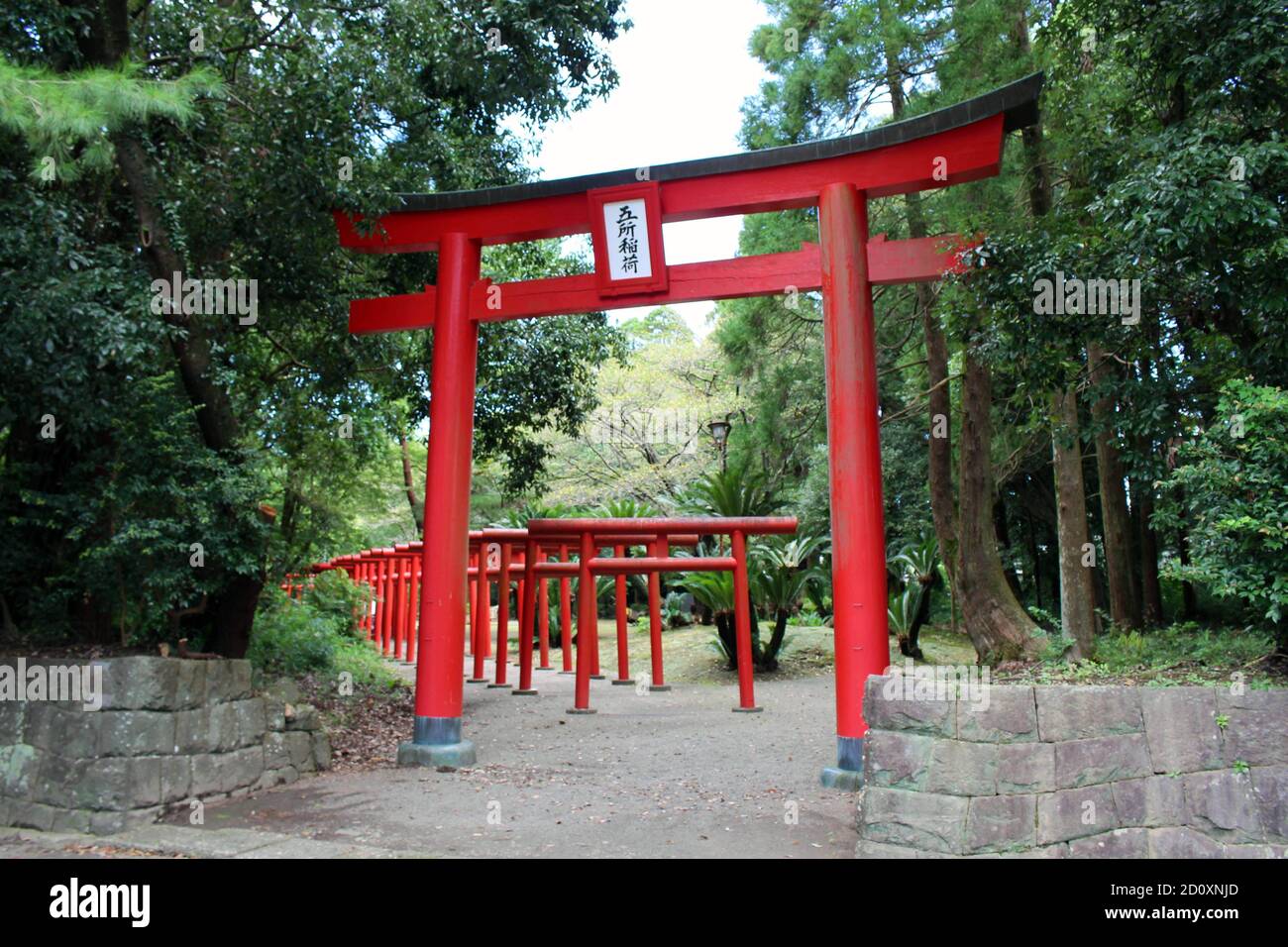 Red torii Shinto gate around Miyazaki Jingu Shrine. Taken in August ...
