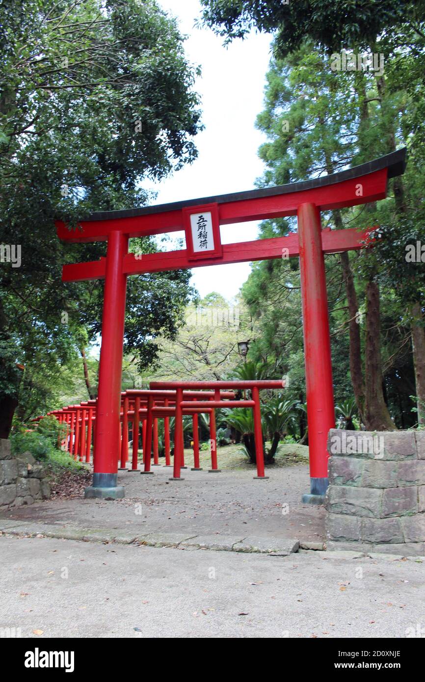 Red torii Shinto gate around Miyazaki Jingu Shrine. Taken in August ...
