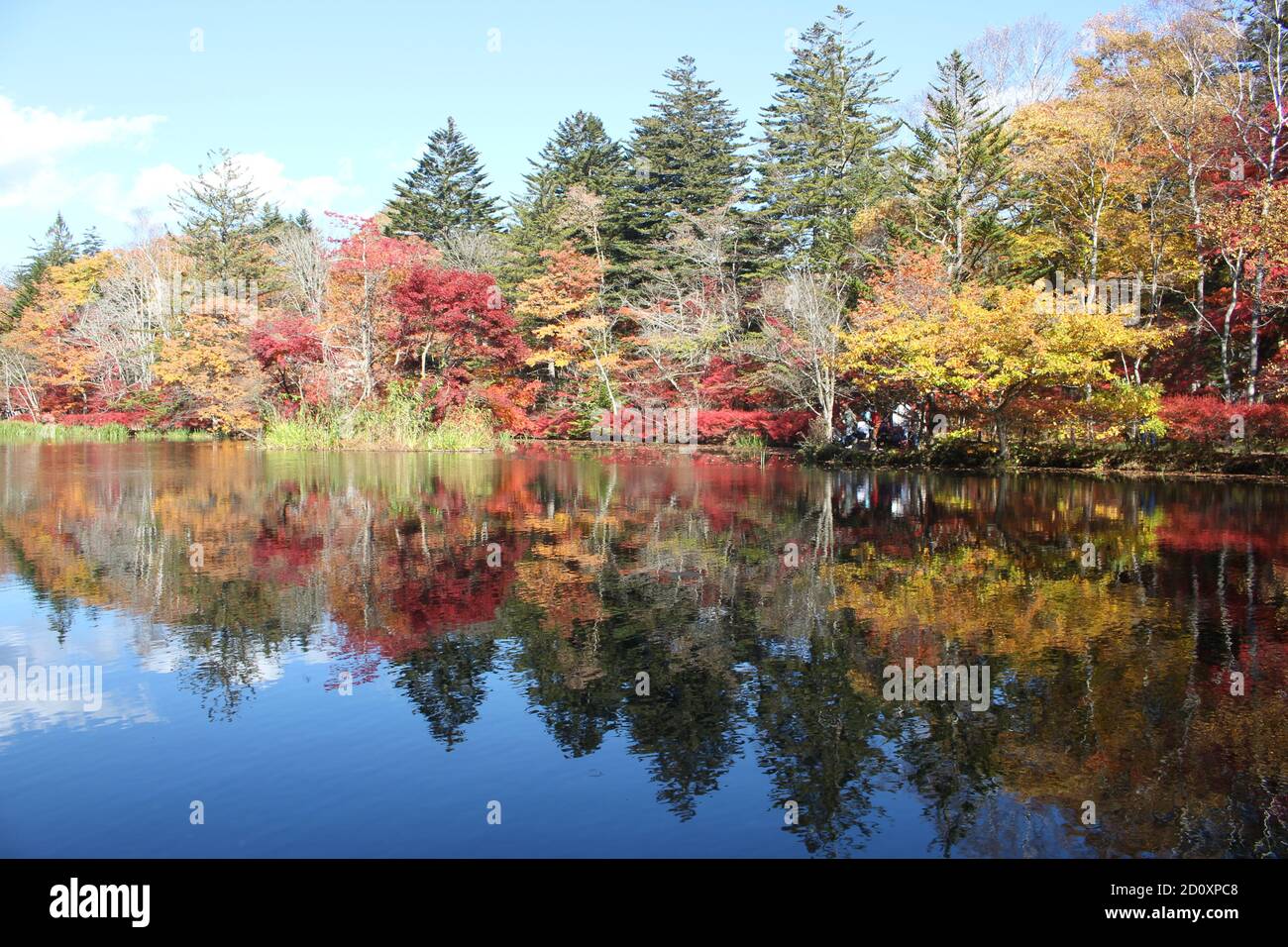 Inverted landscape hi-res stock photography and images - Alamy