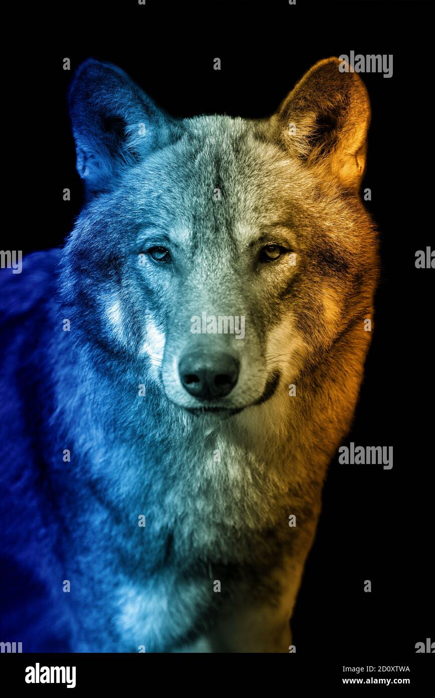 Cold and hot hi-res stock photography and images - Alamy