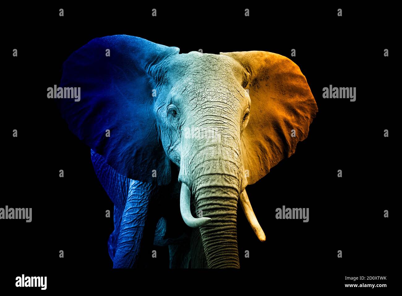 Blue elephant hi-res stock photography and images - Alamy