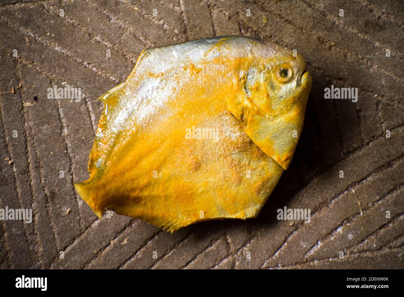 Close-up of pamphlet fish ready to cooking laying on stolen base floor ...
