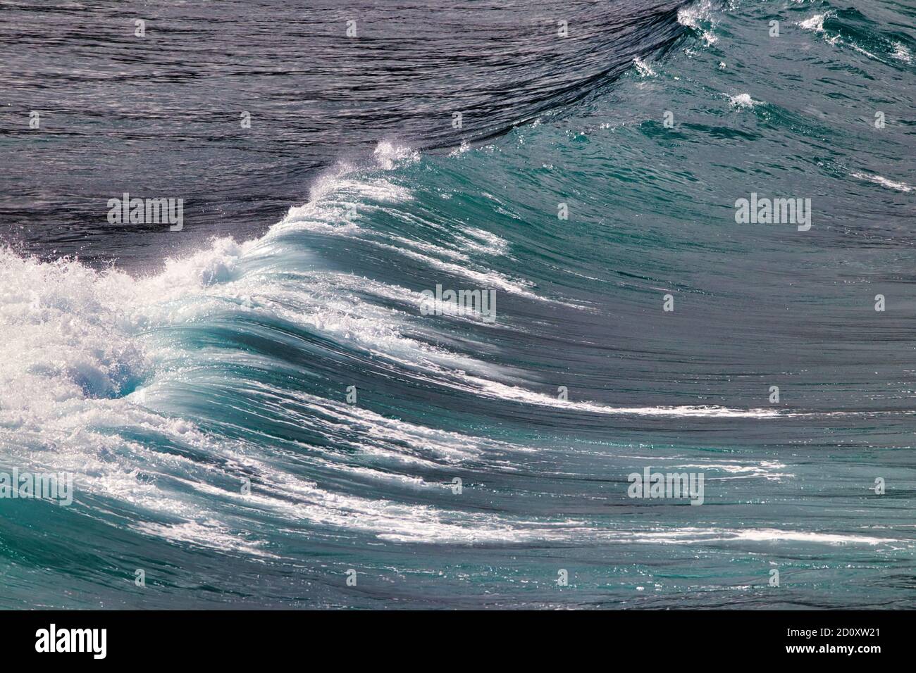 Beauty of aquamarine watre nad whitecaps of a rolling wave on Maui ...