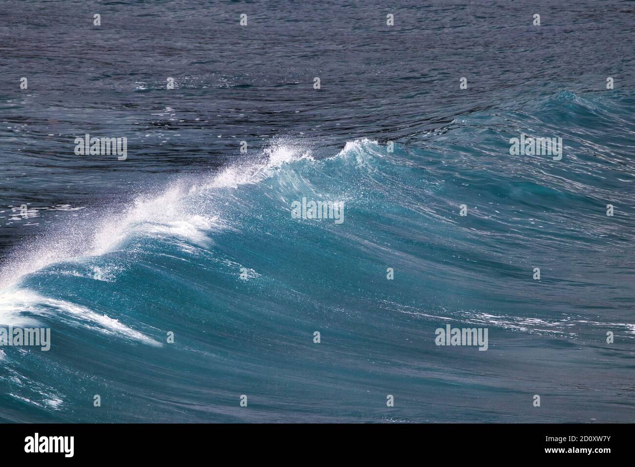 Beautiful aquamarine wave rolling towards the shore at Honolua bay on ...