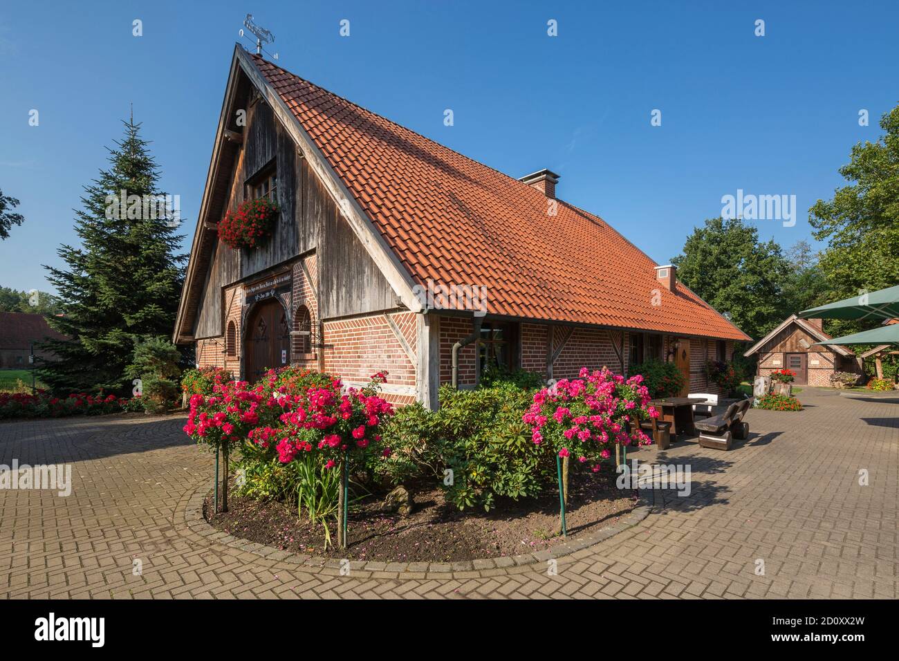 D-Borken, D-Borken-Marbeck, Hohe Mark Westmuensterland Nature Park ...