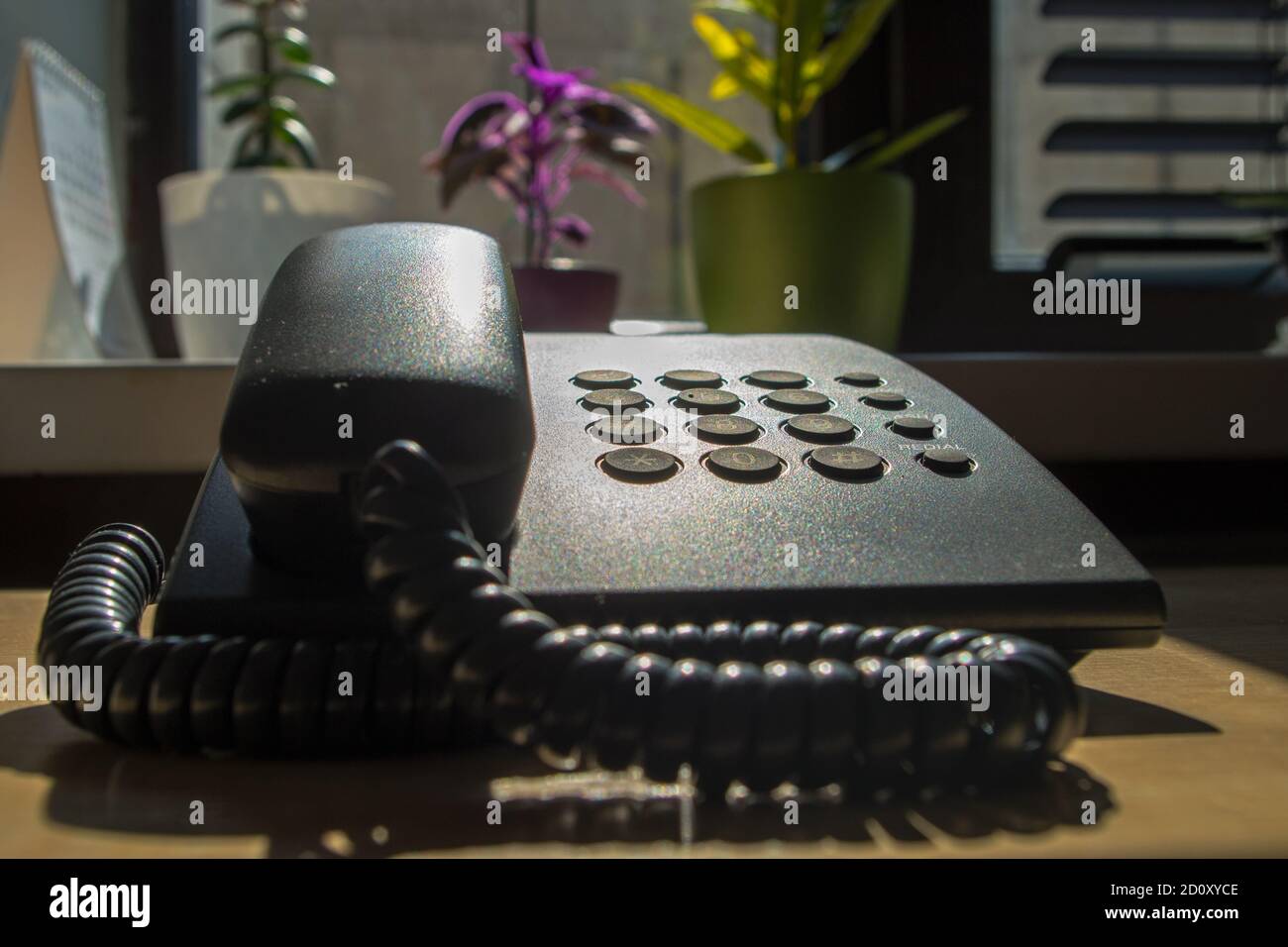 Black landline phone standing on wooden office desk in front of blurred ...