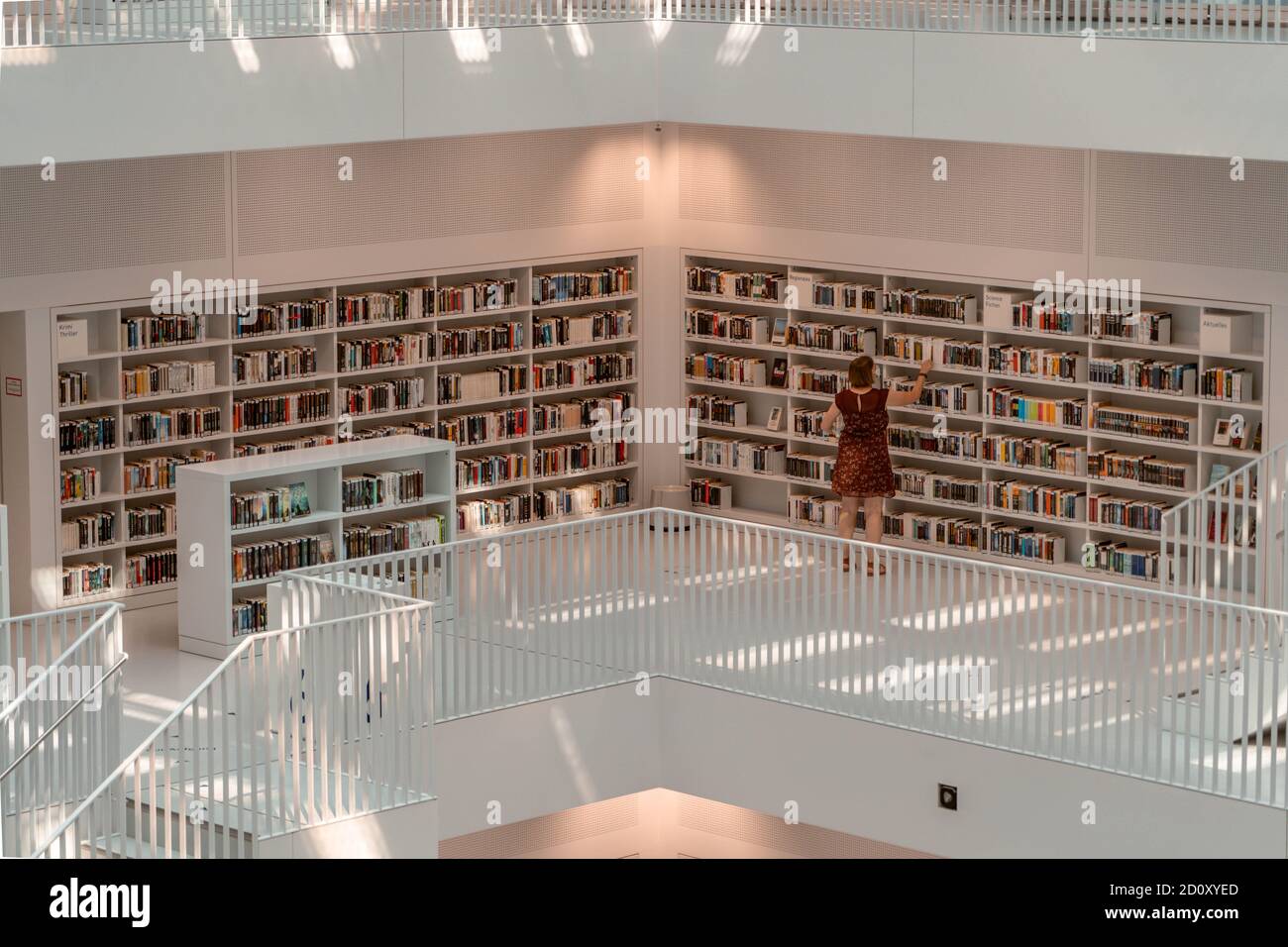 Stuttgart, Germany - Aug 1, 2020 - Librarian sorting books at ...