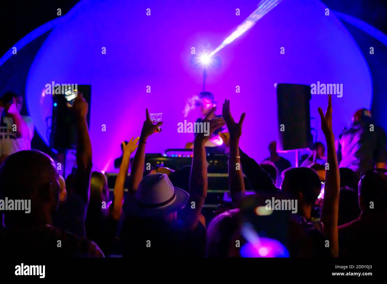 Crowd and DJs dancing during party Stock Photo - Alamy