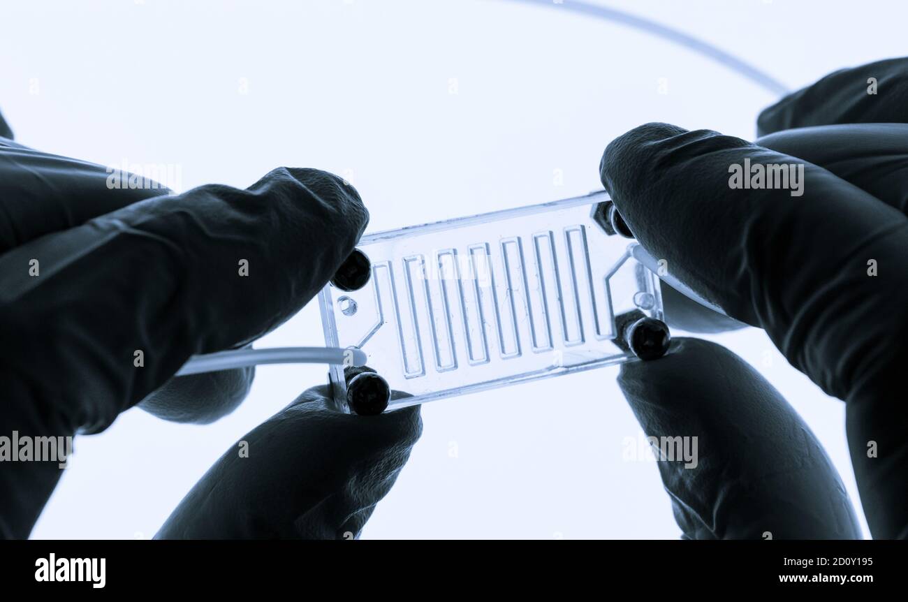 Organ on chip OOC and lab on chip LOC - microfluidic device chip that ...