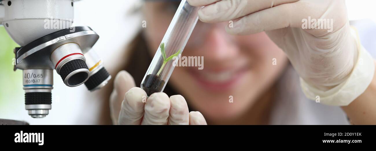 Microscope soil hi-res stock photography and images - Alamy