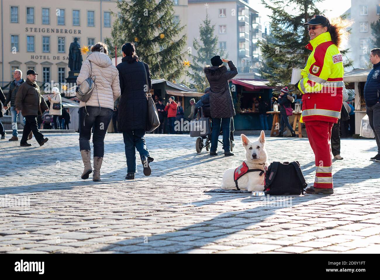 12 December 2017,Dresden Germany Woman and white dog waiting for ...