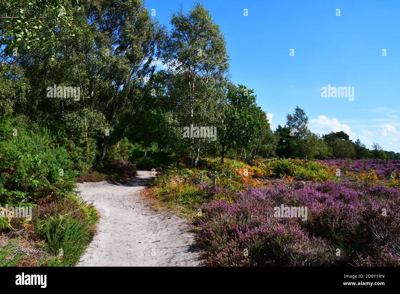 Suffolk landscape hi-res stock photography and images - Alamy