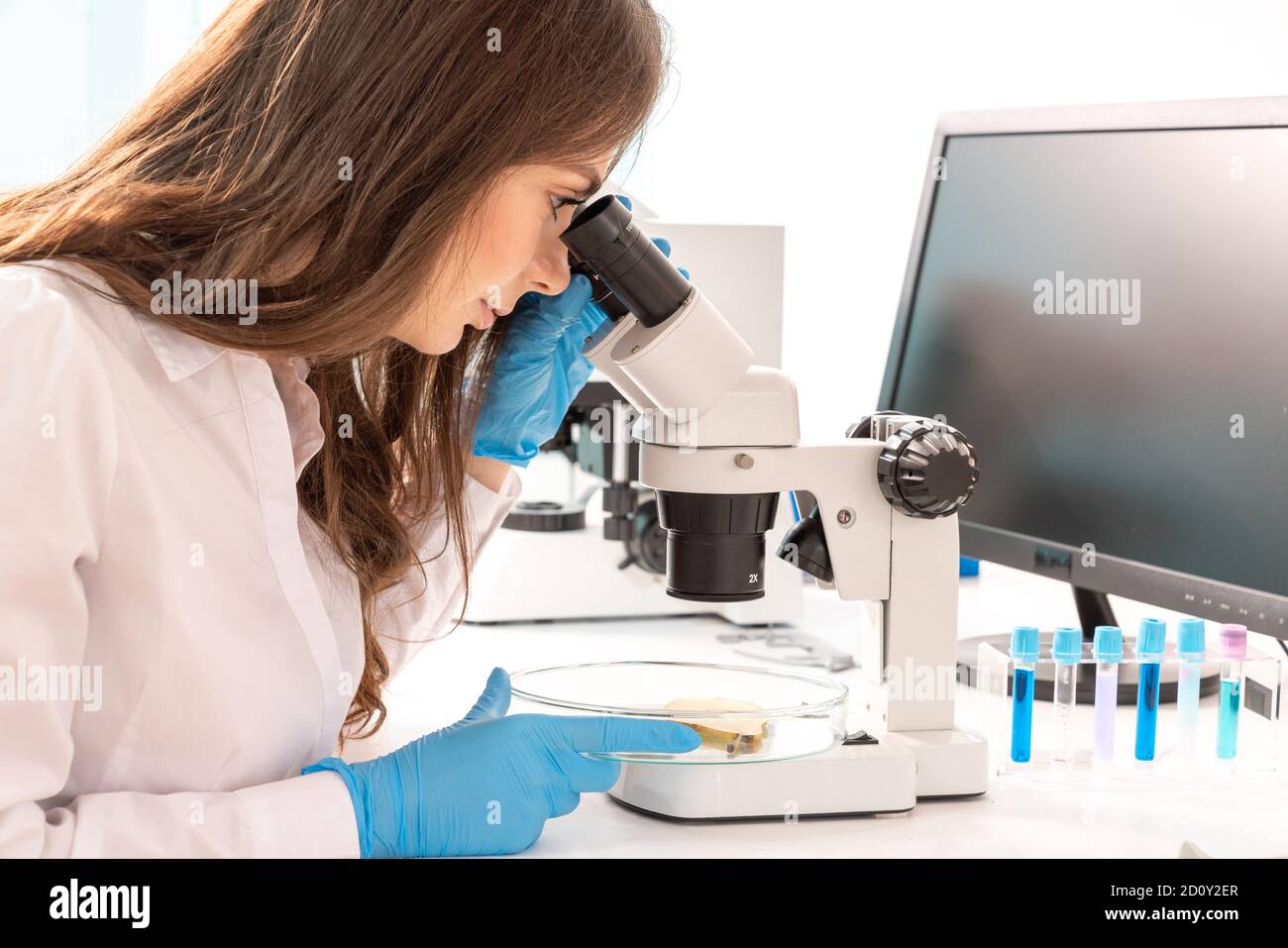 Inspection of the quality of vegetables and fruits in the laboratory of ...