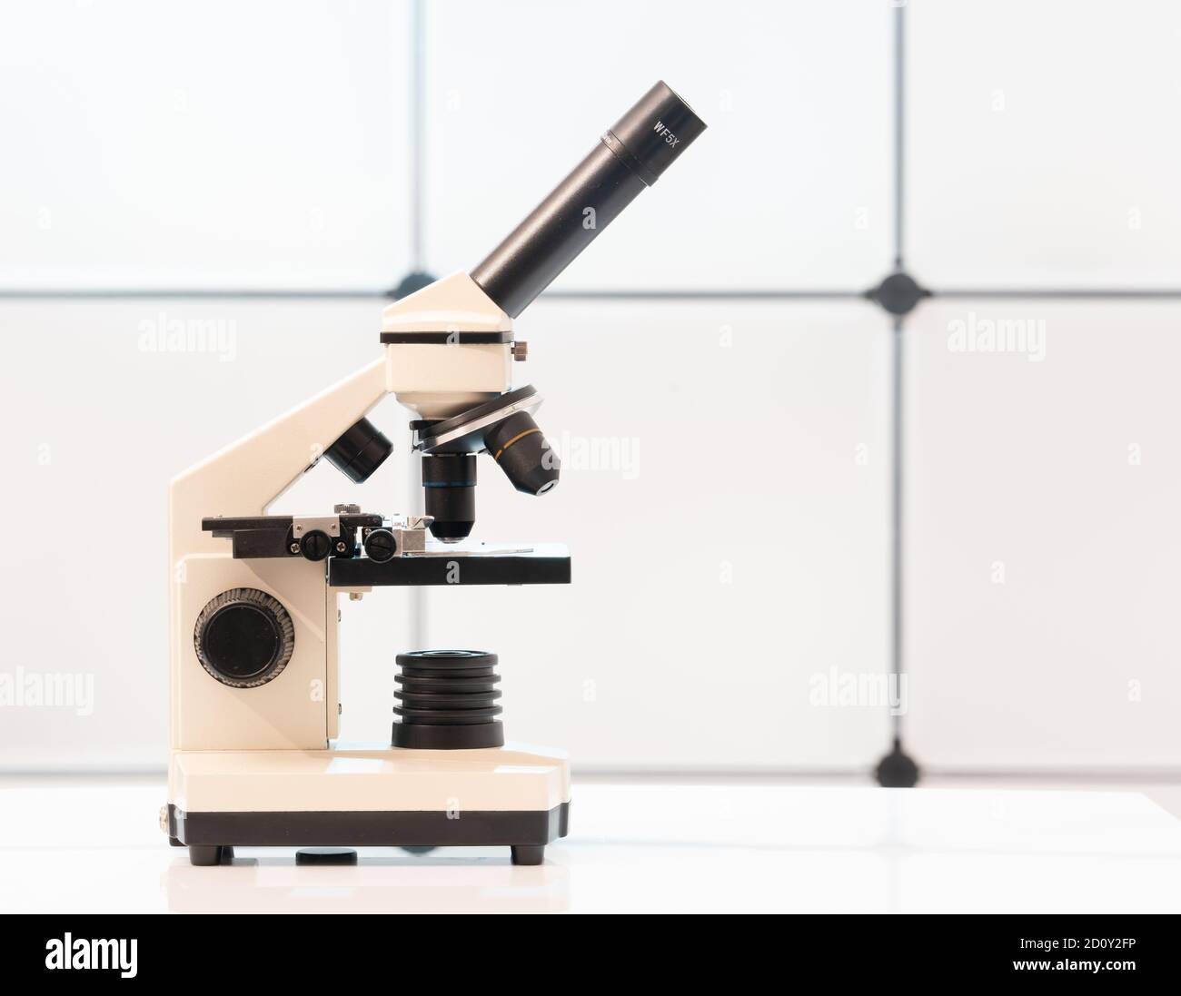 School microscope in a biology class Stock Photo - Alamy