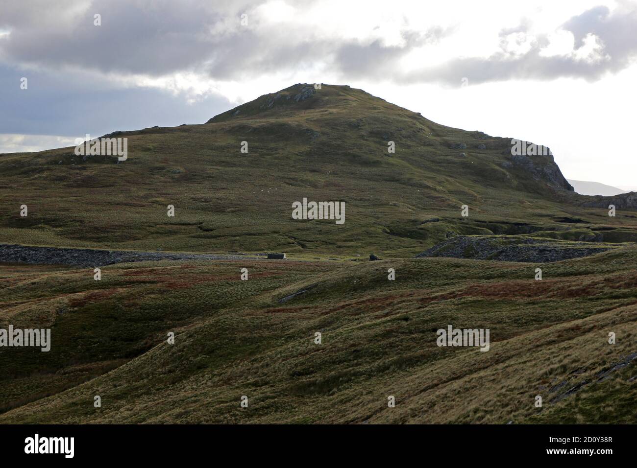 Moel yr hydd viewed from moorland around Moelwyn Mawr Stock Photo - Alamy