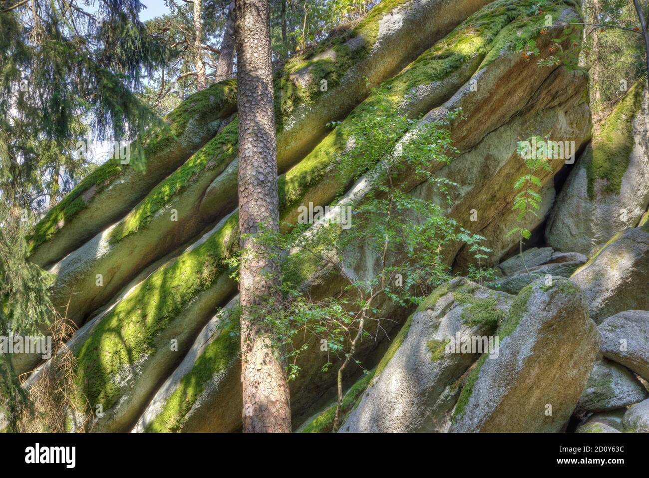 Detail of tilted layered rocks in the Luisenburg rock labyrinth Stock ...