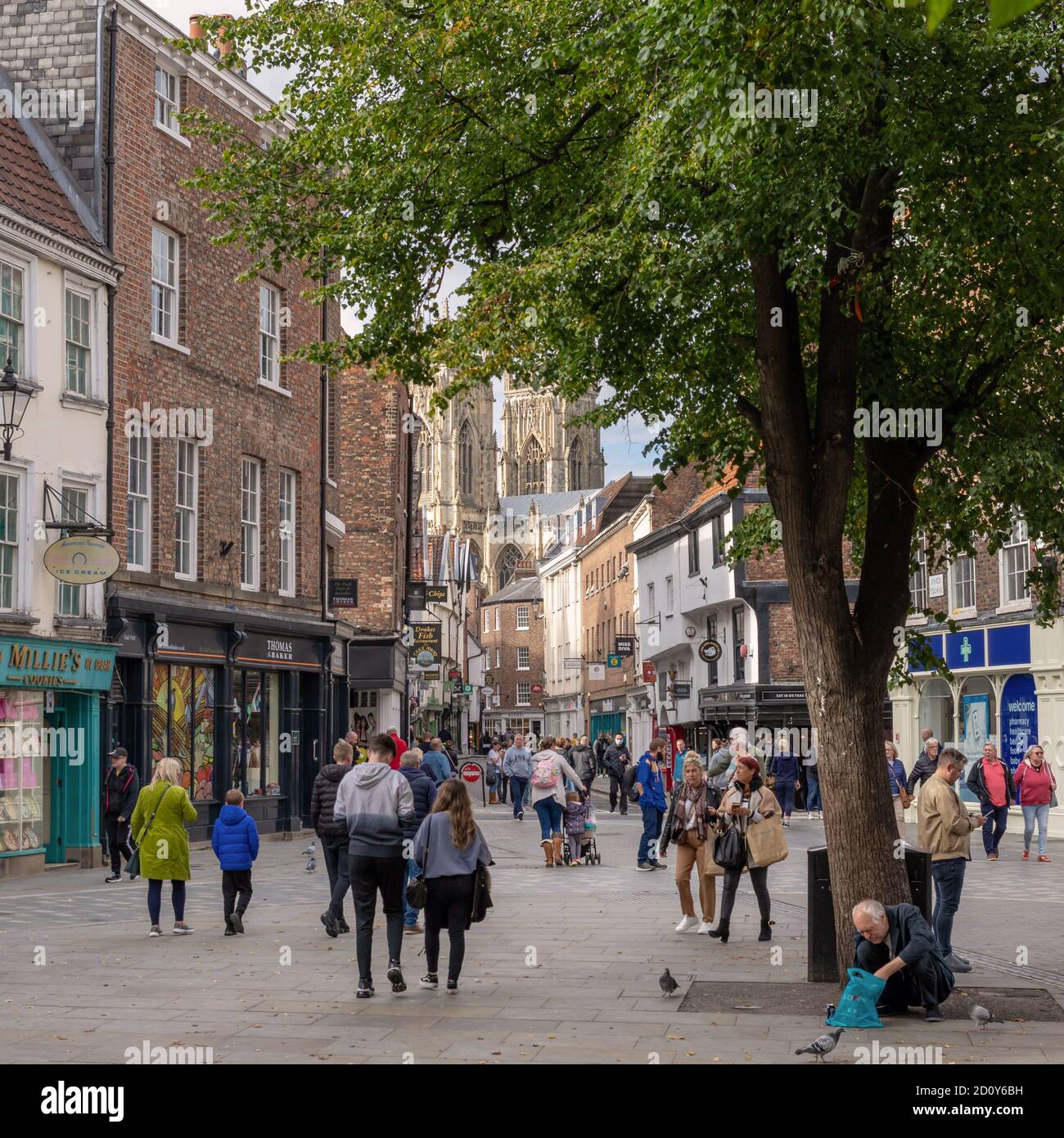 People walk between some shops in York. A man feeds some pigeons under ...