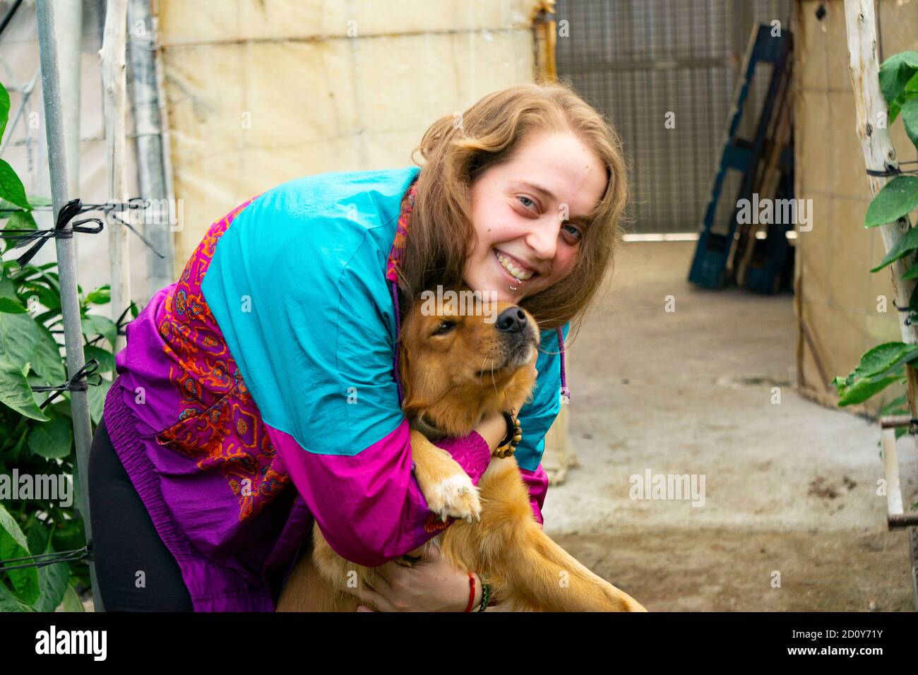 Nice woman hugging dog home hi-res stock photography and images - Alamy