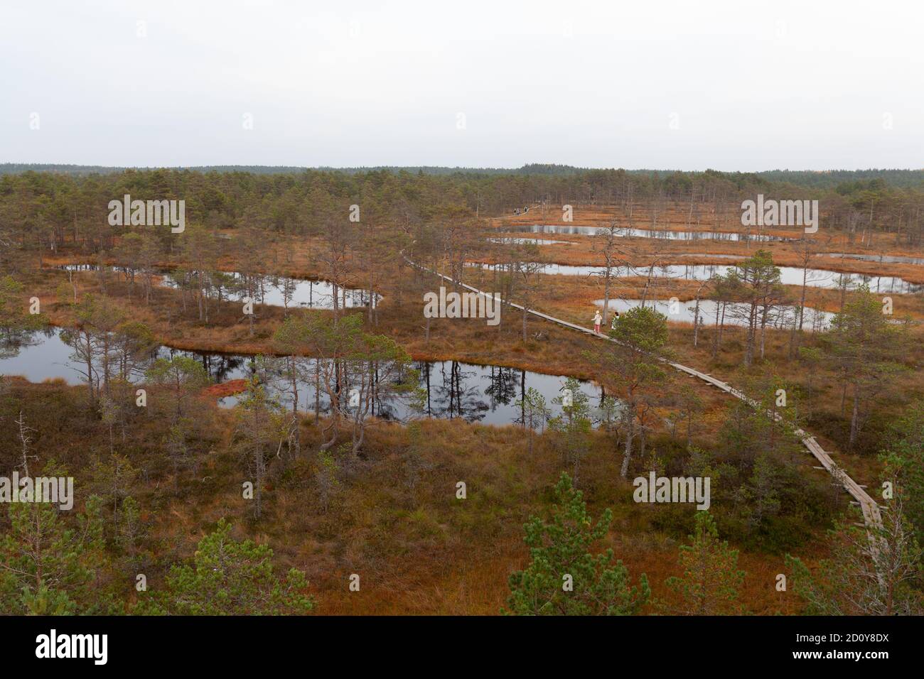 Aerial view of Viru Raba, Lehemaa National Park, Estonia Stock Photo ...