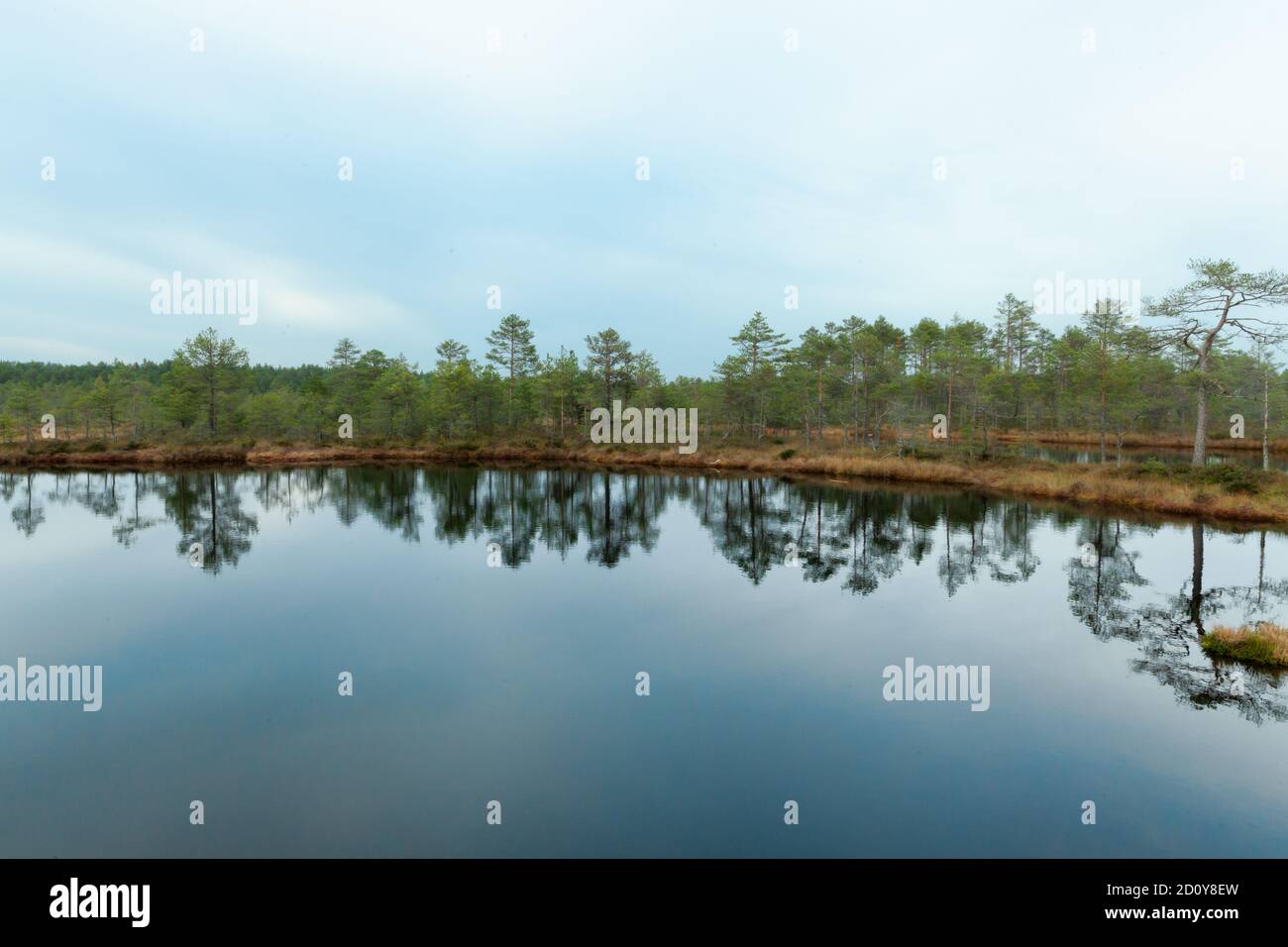 Lake in Viru Raba, Lehemaa National Park, Estonia Stock Photo - Alamy