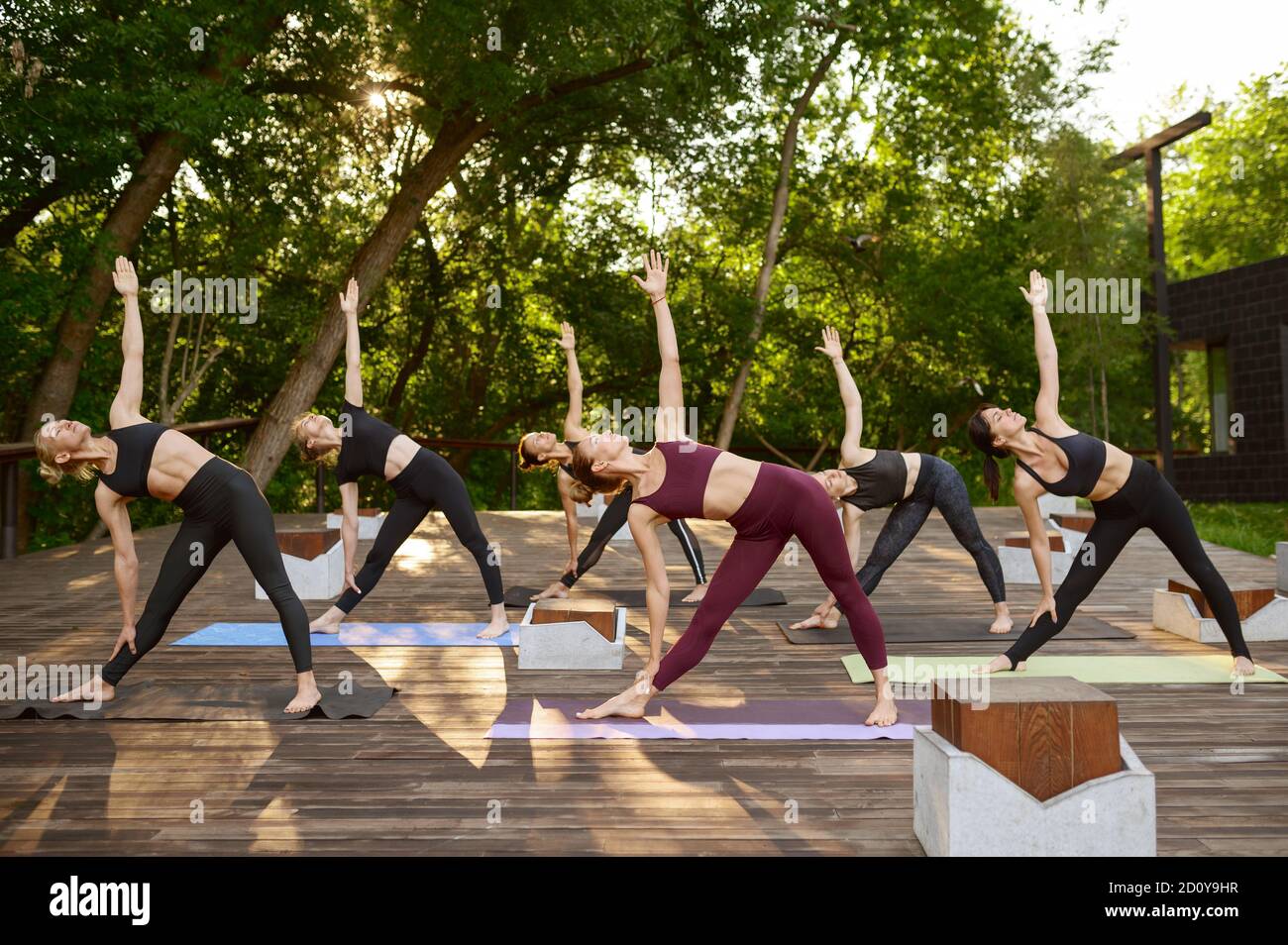 Women with perfect body, group yoga Stock Photo - Alamy