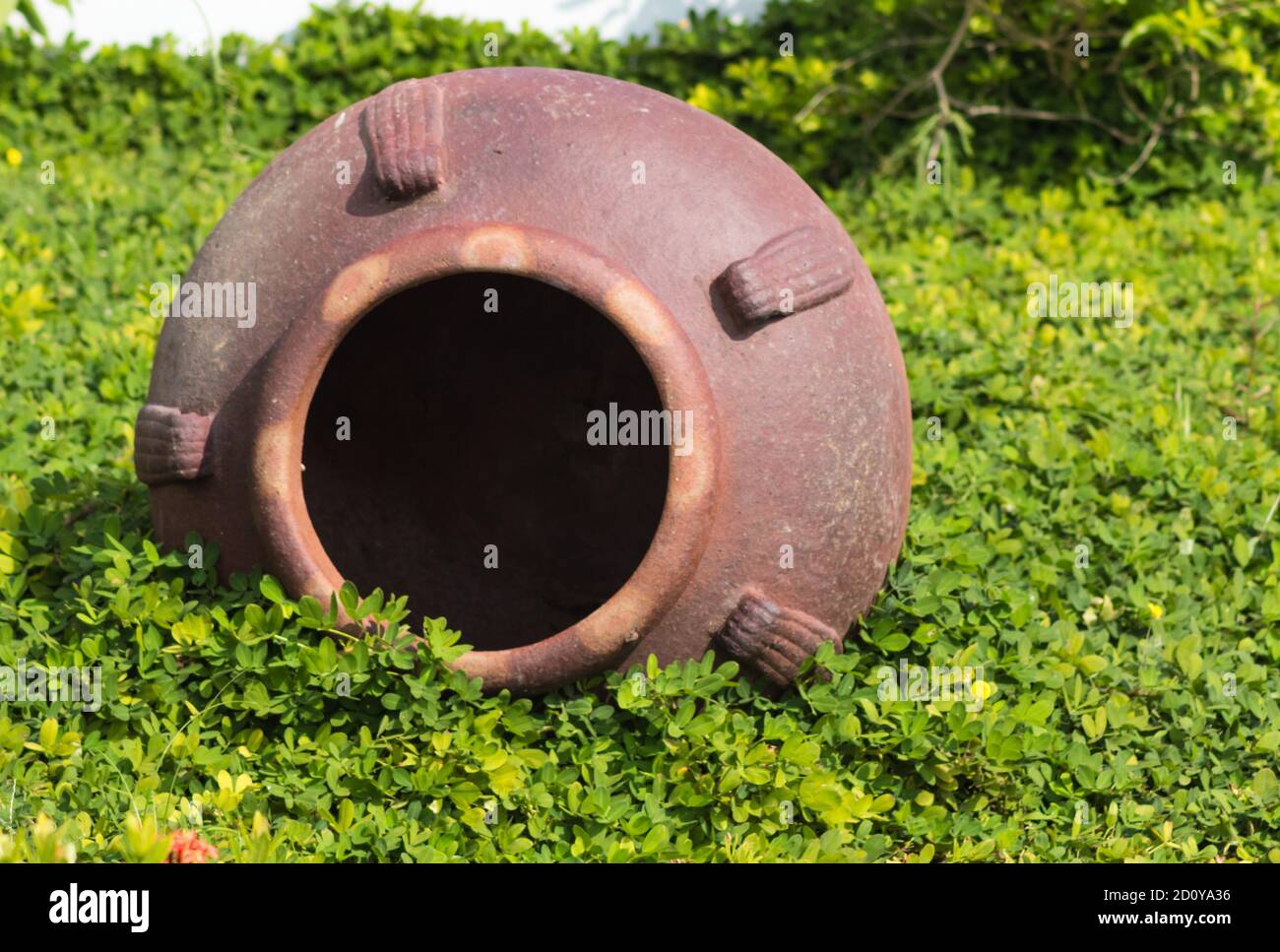Decorative metal pot in a tropical garden Stock Photo - Alamy
