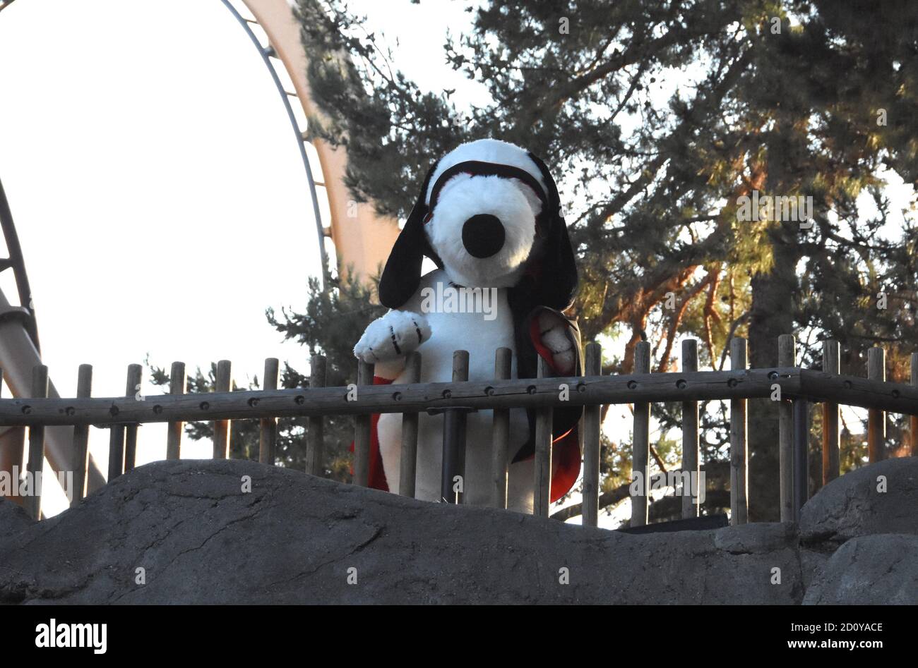 Snoopy camp hi-res stock photography and images - Alamy