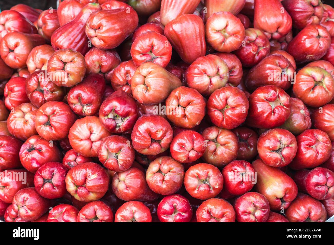 Stack of fresh rose apples on the market Stock Photo - Alamy
