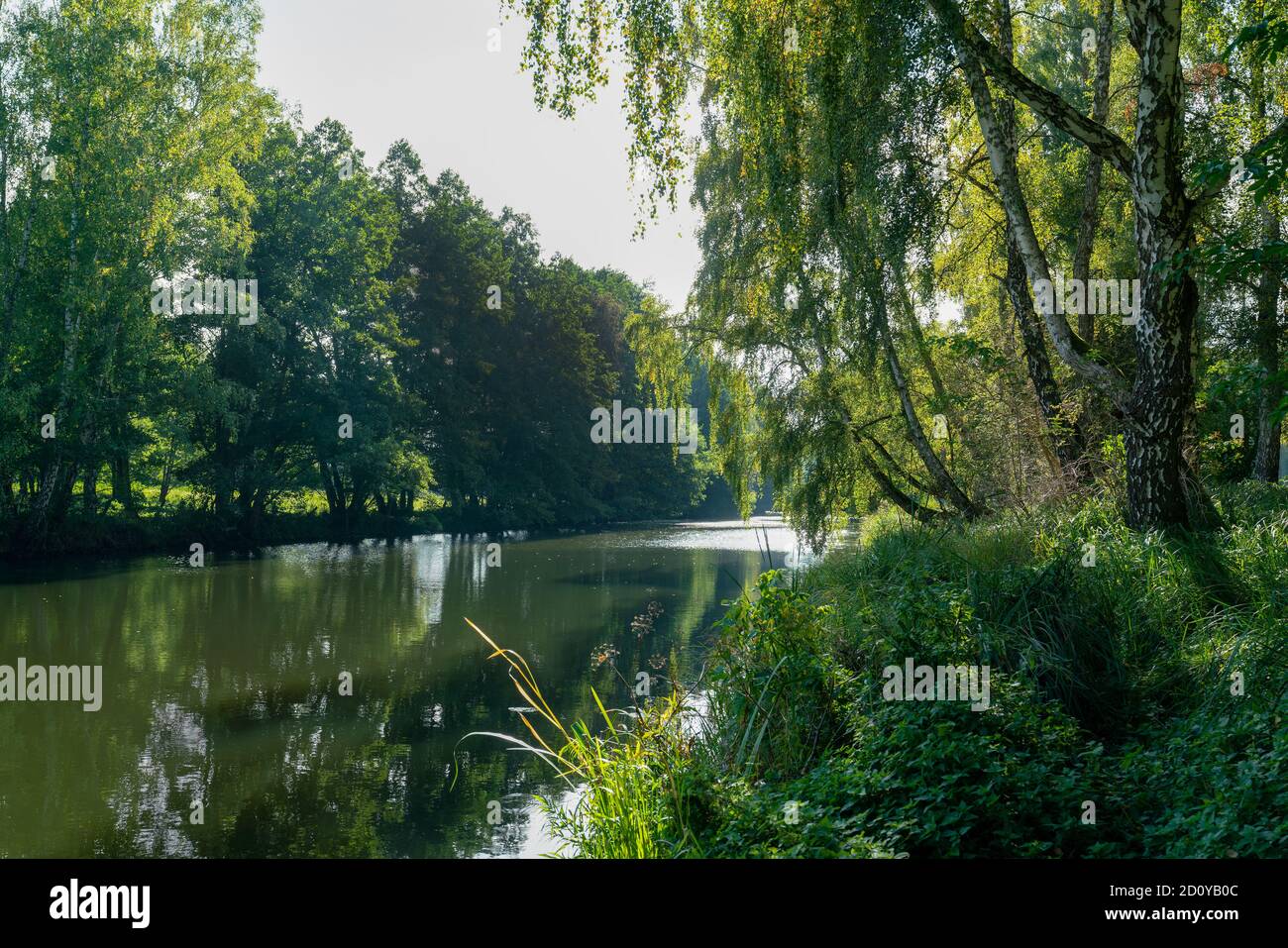 Shades of green along river embankment at the Brandenburg river Dahme ...