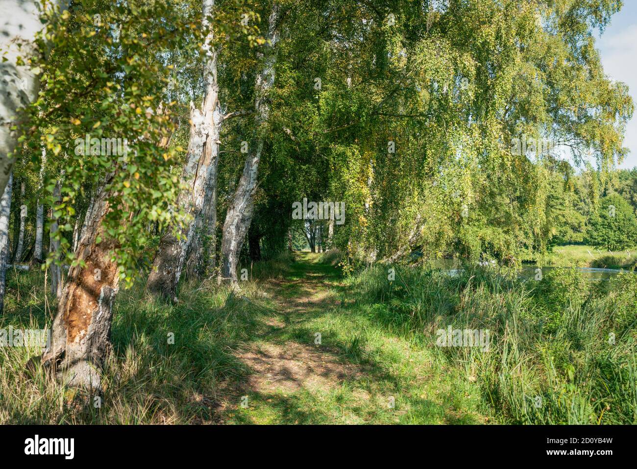 Dahme River High Resolution Stock Photography and Images - Alamy