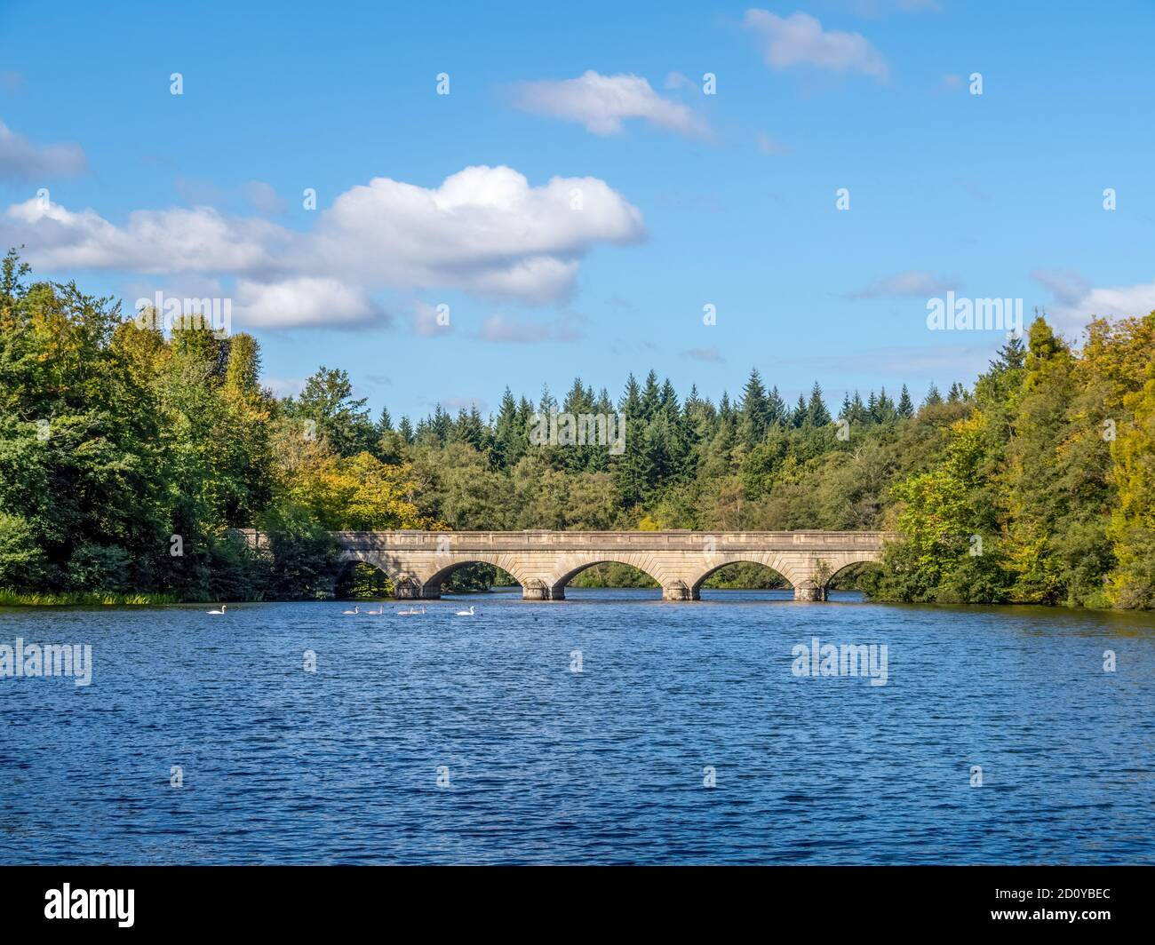 Virginia Water lake, reservoir, 5 arch bridge. Surrey, England, UK ...
