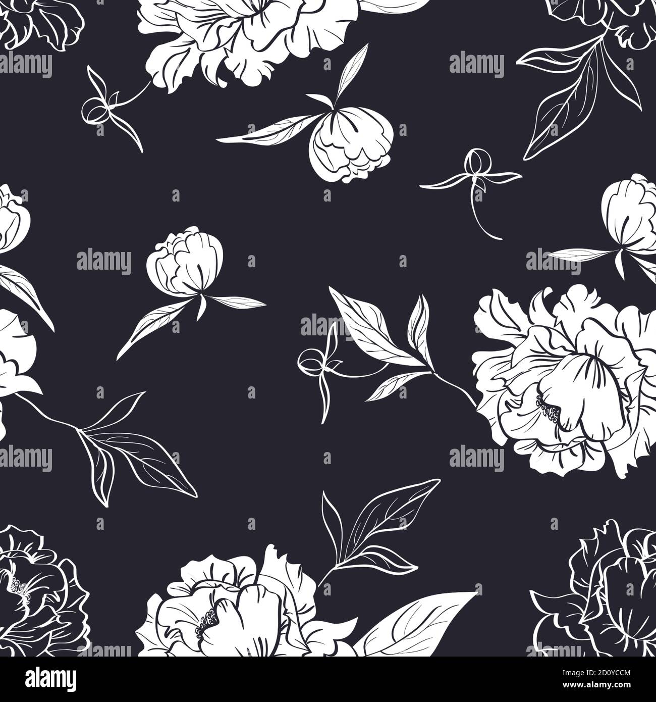 Peony flower black line Stock Vector Images - Alamy