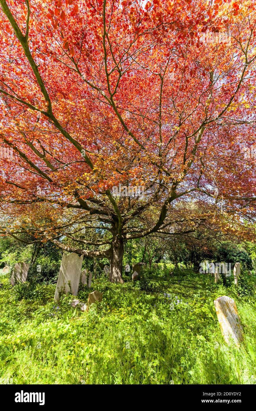 St laurence graveyard ramsgate hi-res stock photography and images - Alamy