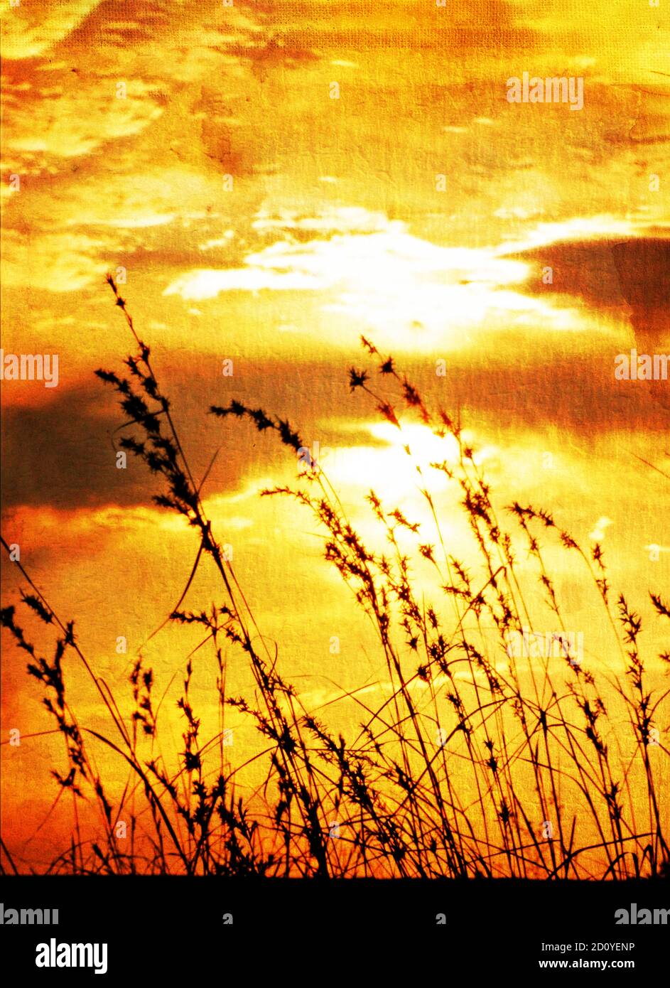 African Stock Photo 2020 dramatic african sun set sky Stock Photo - Alamy