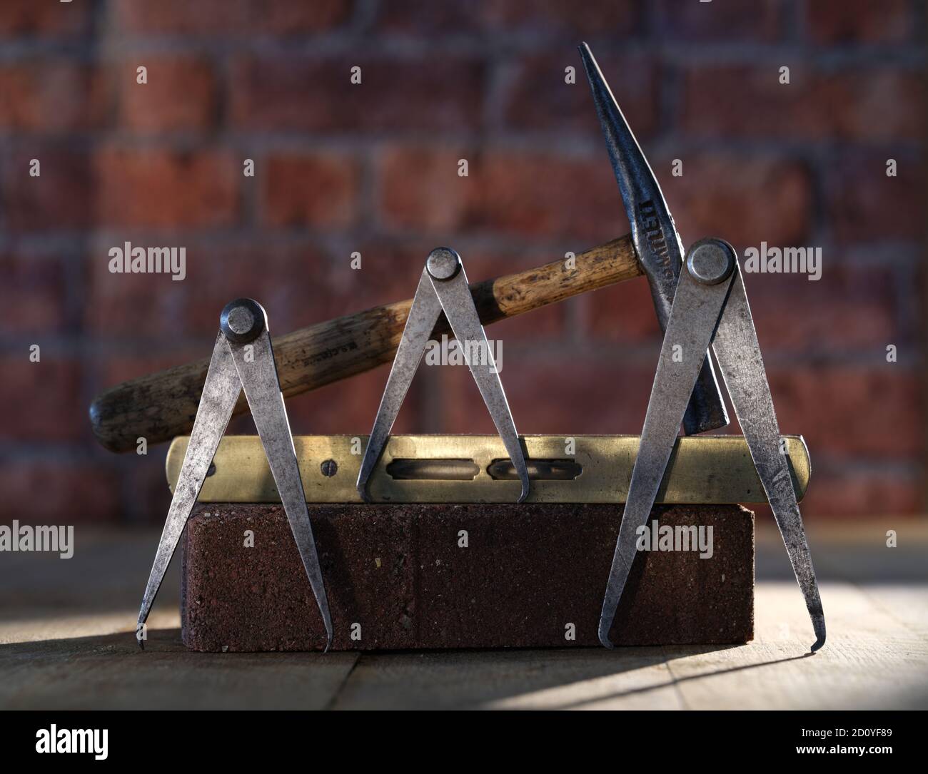 Leg callipers leg calliper leg callipers leg caliper hi-res stock ...