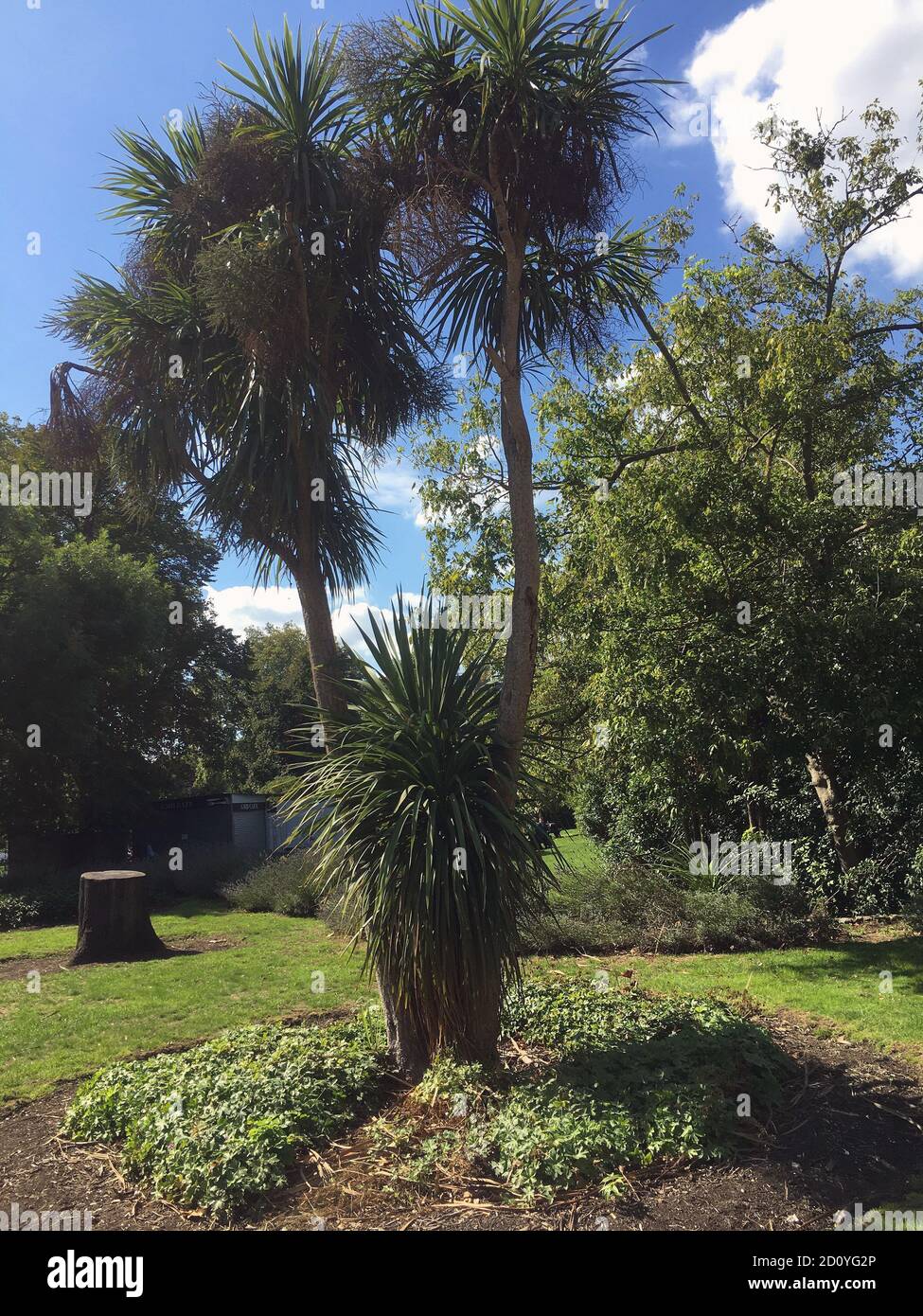 Walking through the Park Stock Photo - Alamy