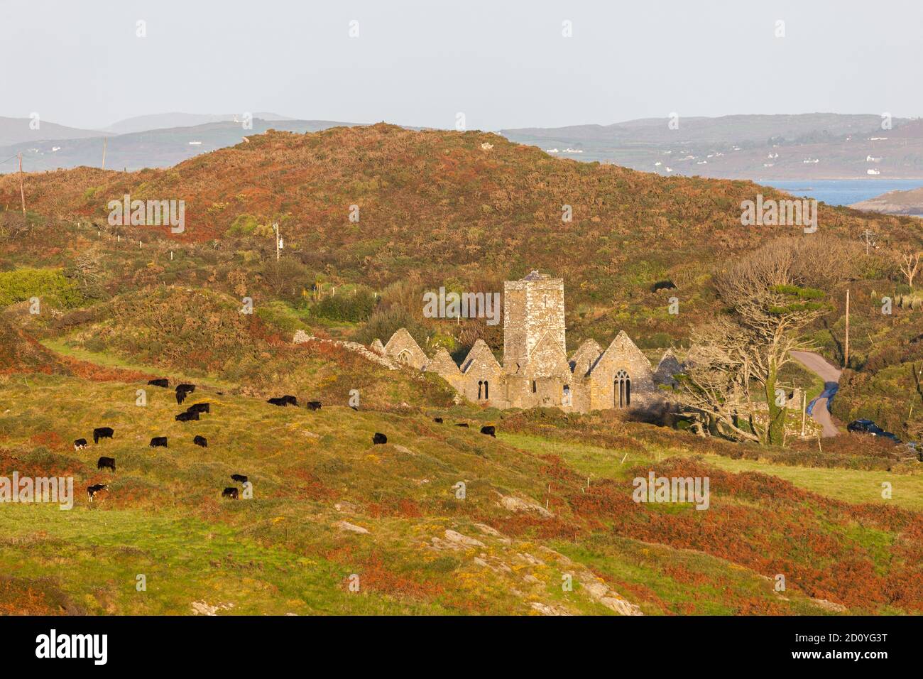 Sherkin Island, Cork, Ireland. 03rd October, 2020. A view of the Abbey ...
