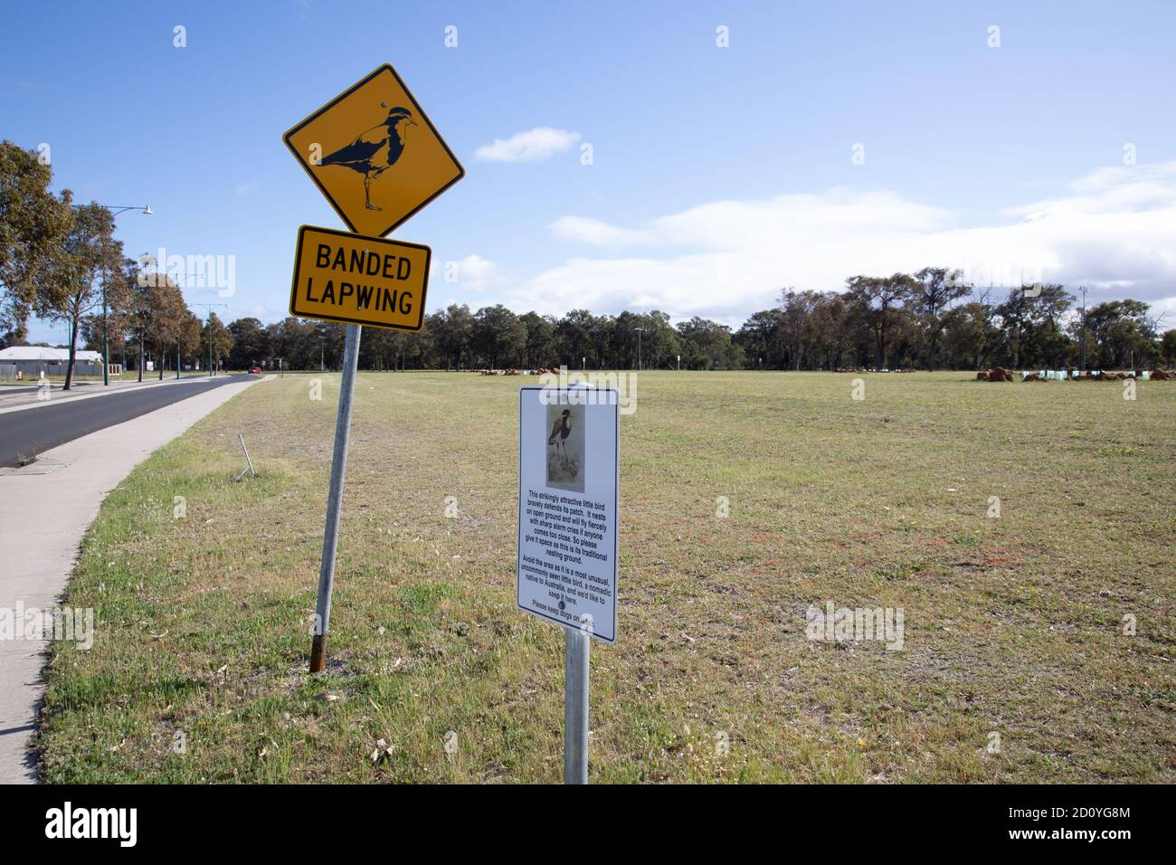 Banded Lapwing Plover warning signs in suburban Australind Stock Photo ...