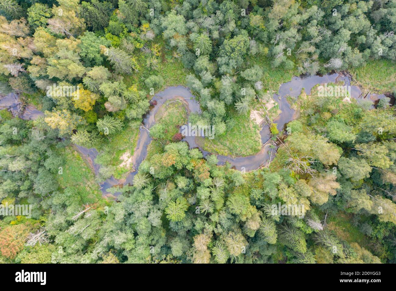 Aerial top down view of winding river flowing through green forest Stock Photo - Alamy