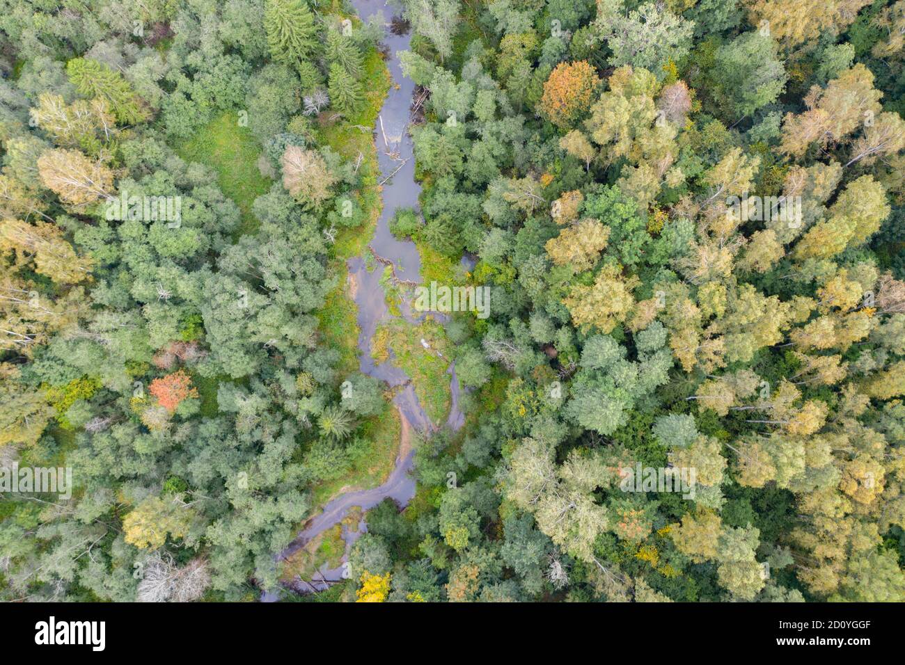 Aerial top down view of winding river flowing through green forest Stock Photo - Alamy