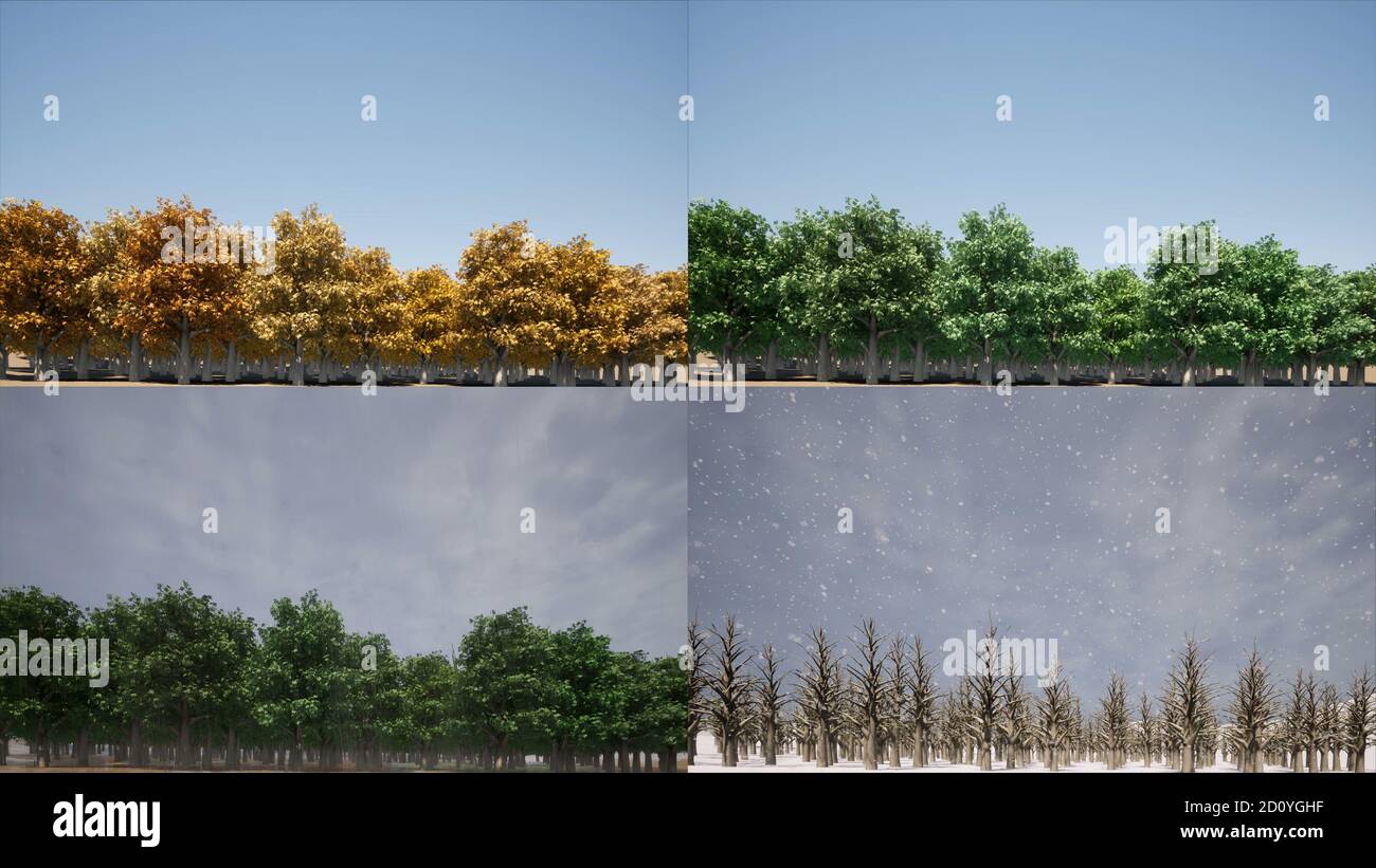 Four seasons landscape Nature concept 3d rendering Stock Photo - Alamy